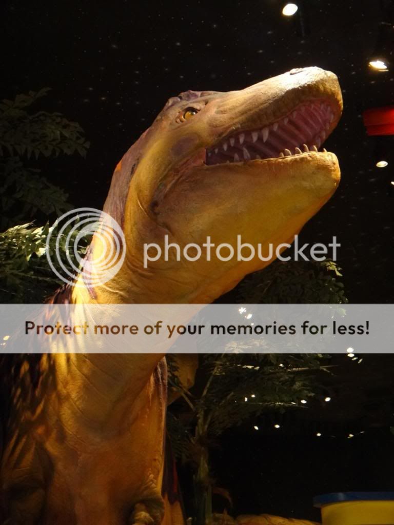 2012 - OLYMPIC FREE TOUR - Day 20 - Typhoon Lagoon & T-Rex | The DIS ...